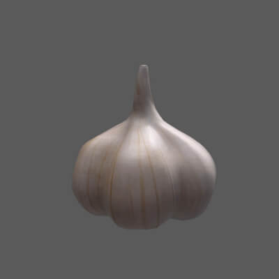 Garlic Vegetable - 3D Model by LowPoly-Studio
