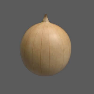 Onion Low Poly 3D Model by LowPoly-Studio
