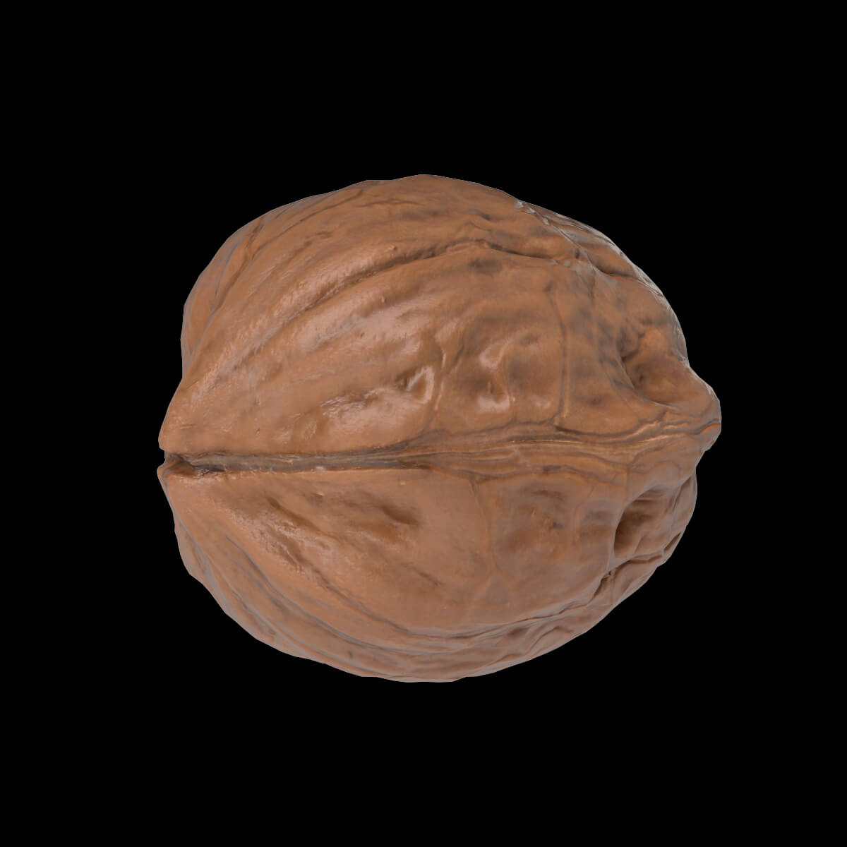 Walnut Low Poly 3D Model by LowPoly-Studio