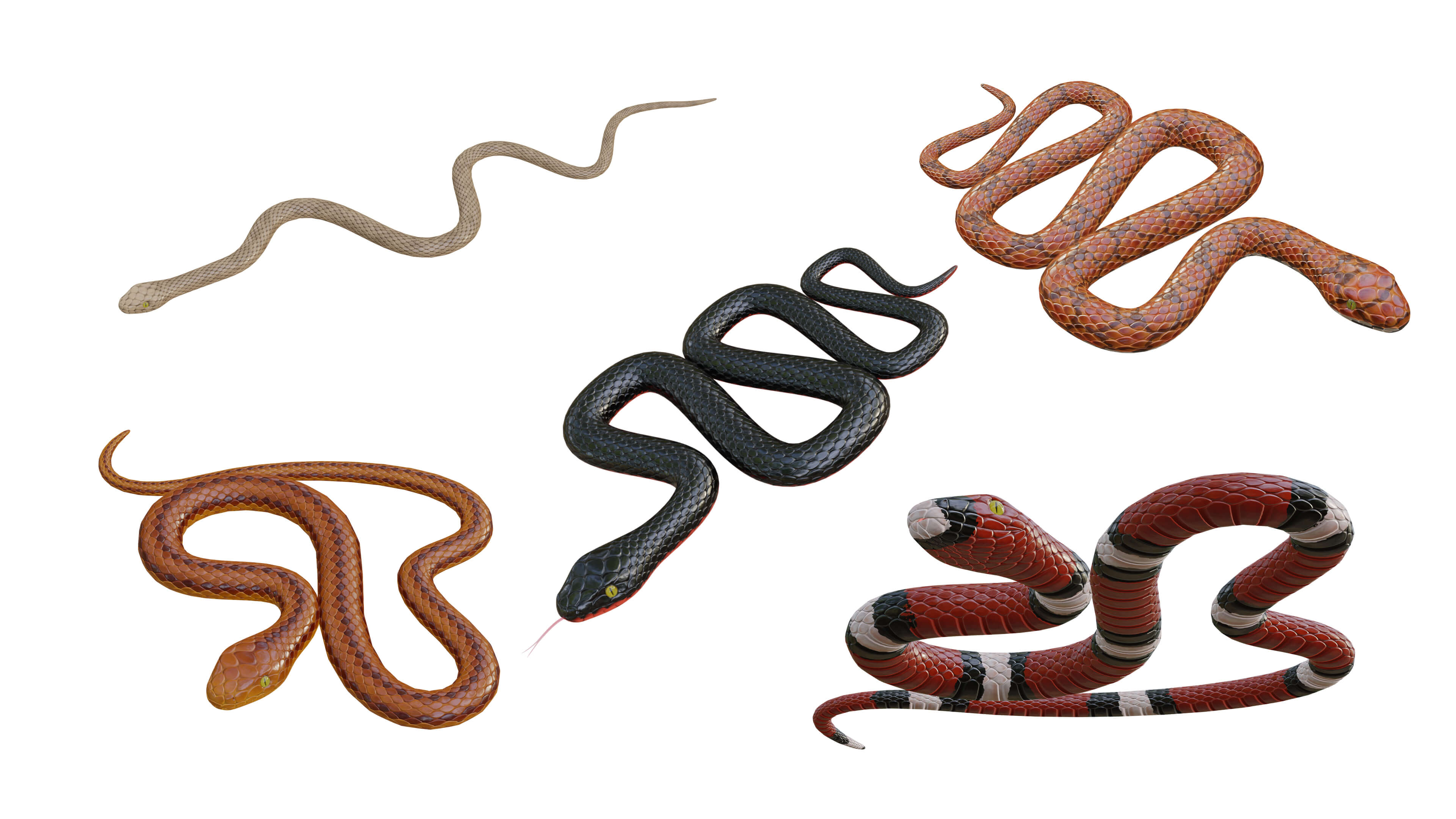 Snake Procedural - 3D Model by ludmi