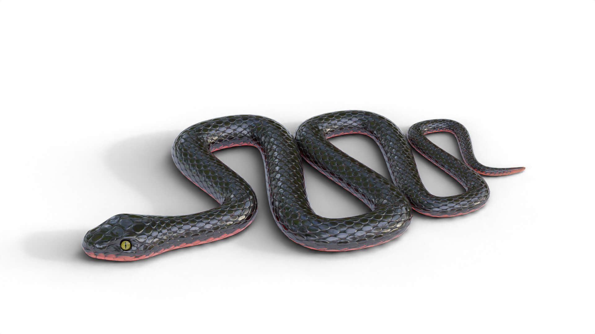 Snake Procedural - 3D Model by ludmi