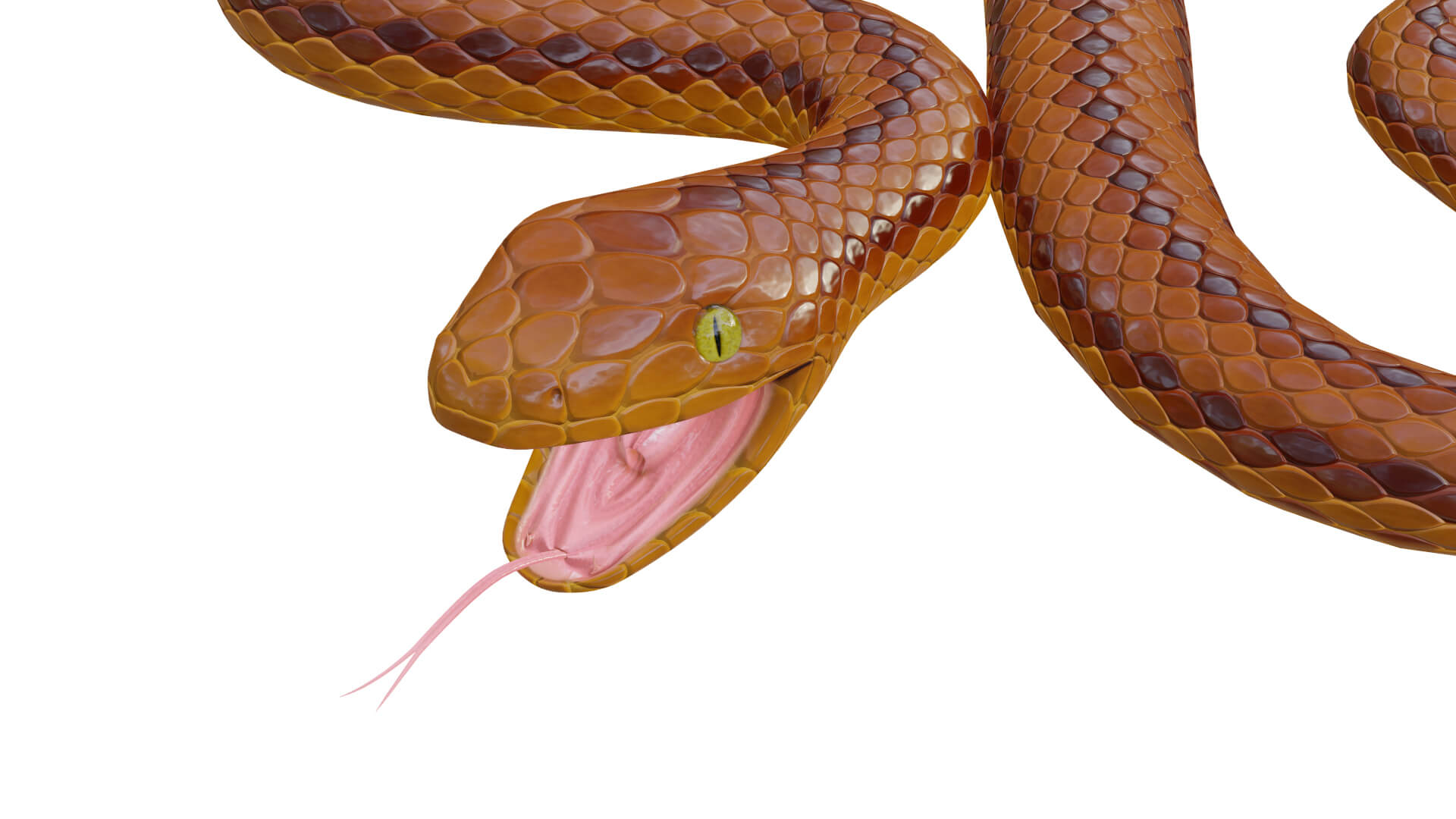 Snake Procedural - 3D Model by ludmi