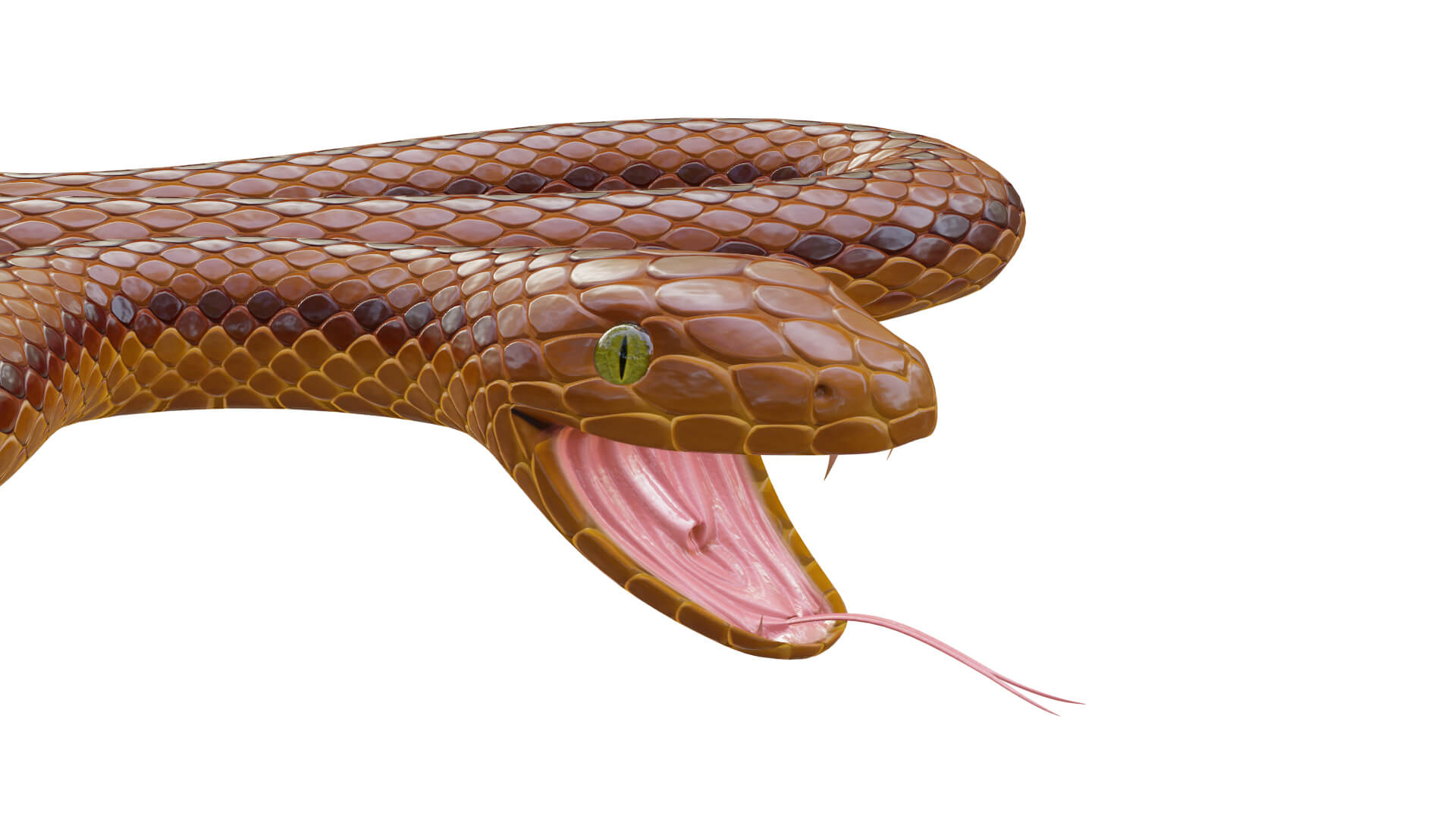 Snake Procedural - 3D Model by ludmi