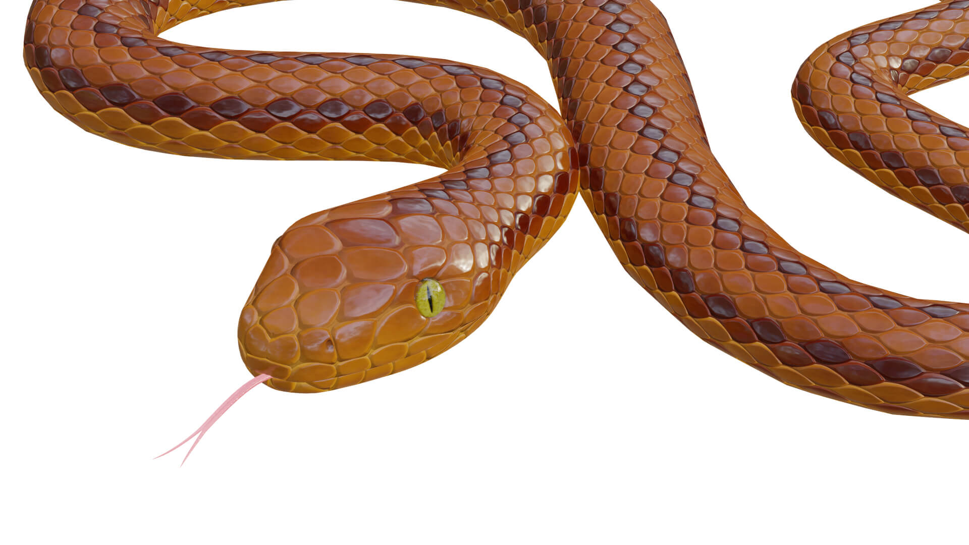 Snake Procedural - 3D Model by ludmi