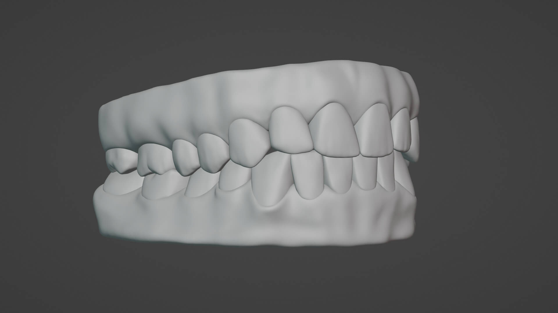 Set of Human Teeth - 3D Model by ludmi