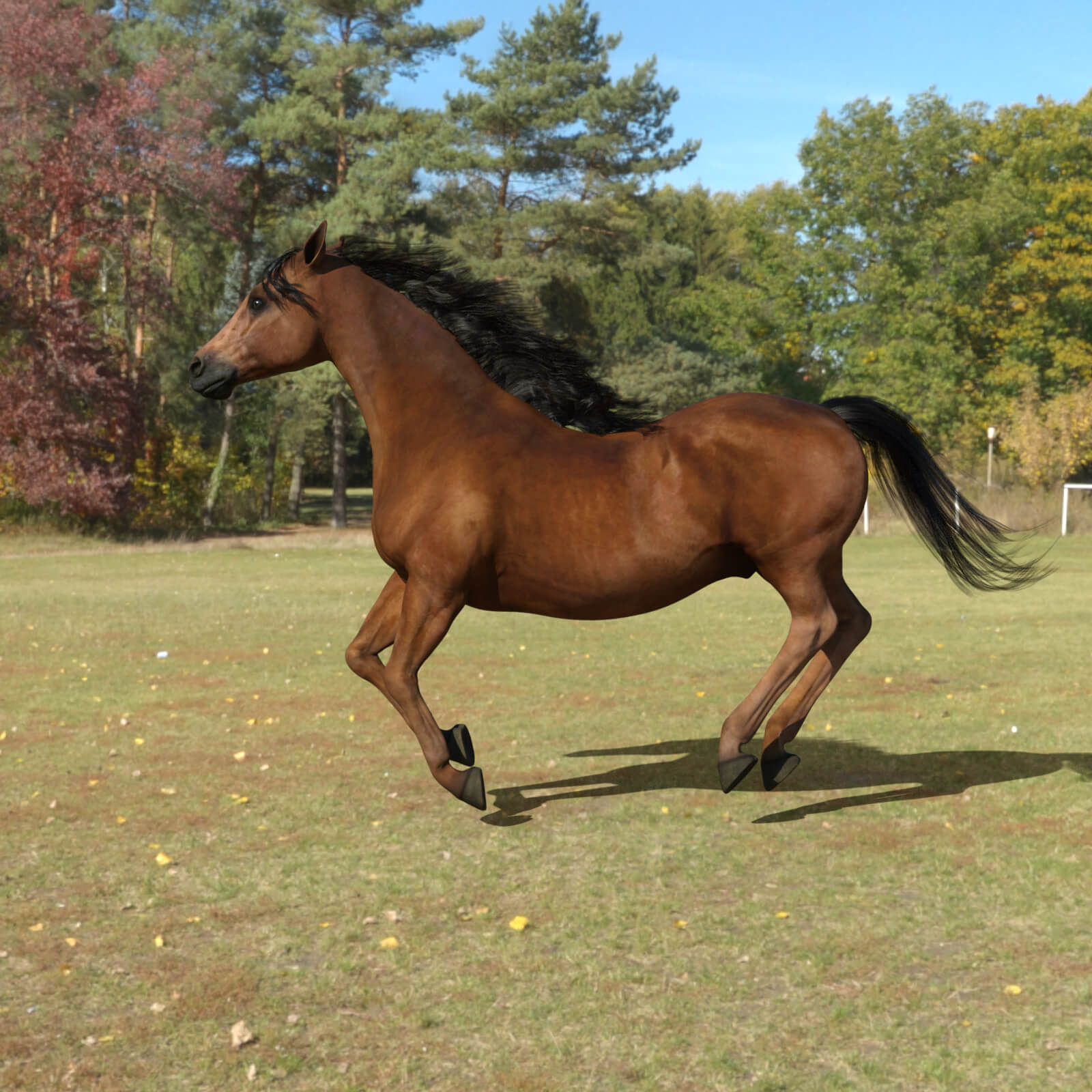 Active Poses for Horse3 - Free Daz Content by Luna_s20