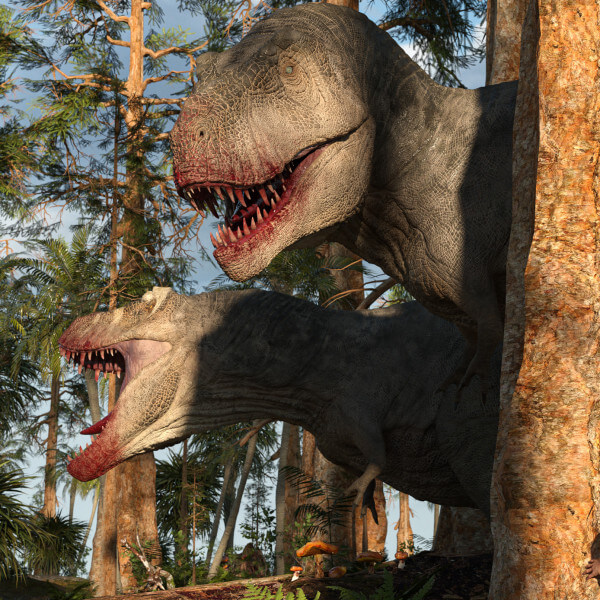 3D Art Gallery by lux0 at RenderHub