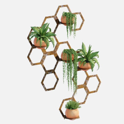 Hexagon Trellis Wall Planter - 3D Model by lyskanych