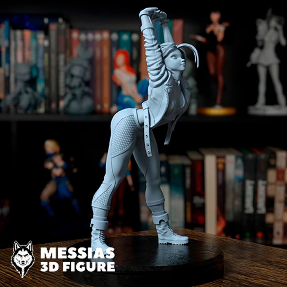 Cammy Figure 3D Render, Digital Art by M2SO