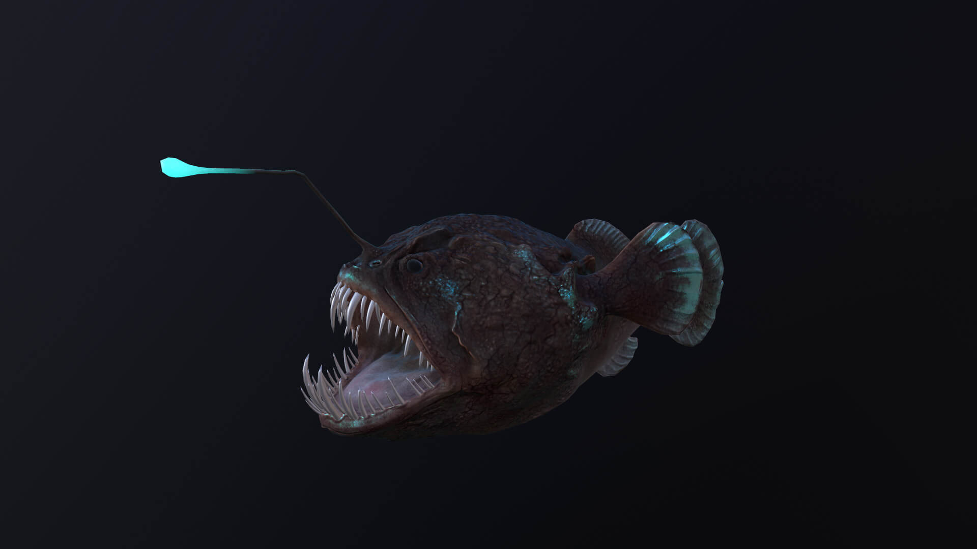 Angler Fish - 3D Model by MadeCG