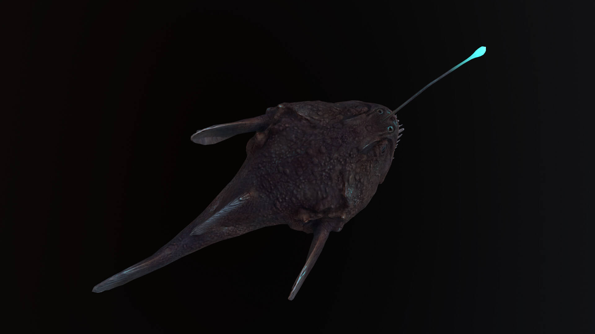 Angler Fish - 3D Model by MadeCG