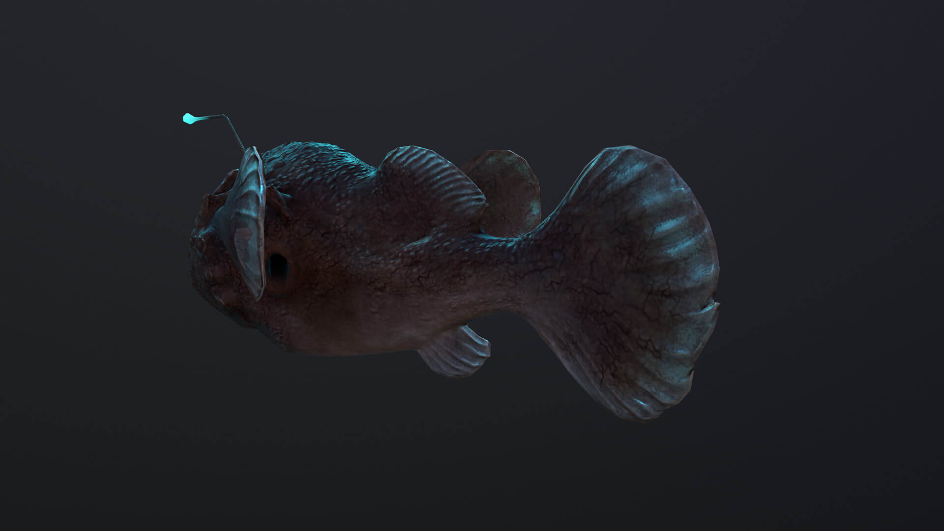Angler Fish - 3D Model by MadeCG
