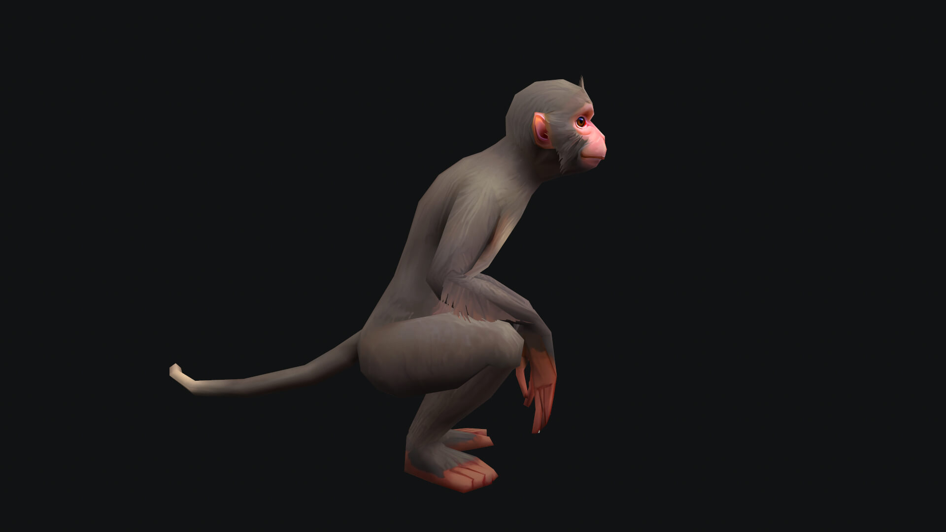 Aniamted Monkey - 3D Model by MadeCG
