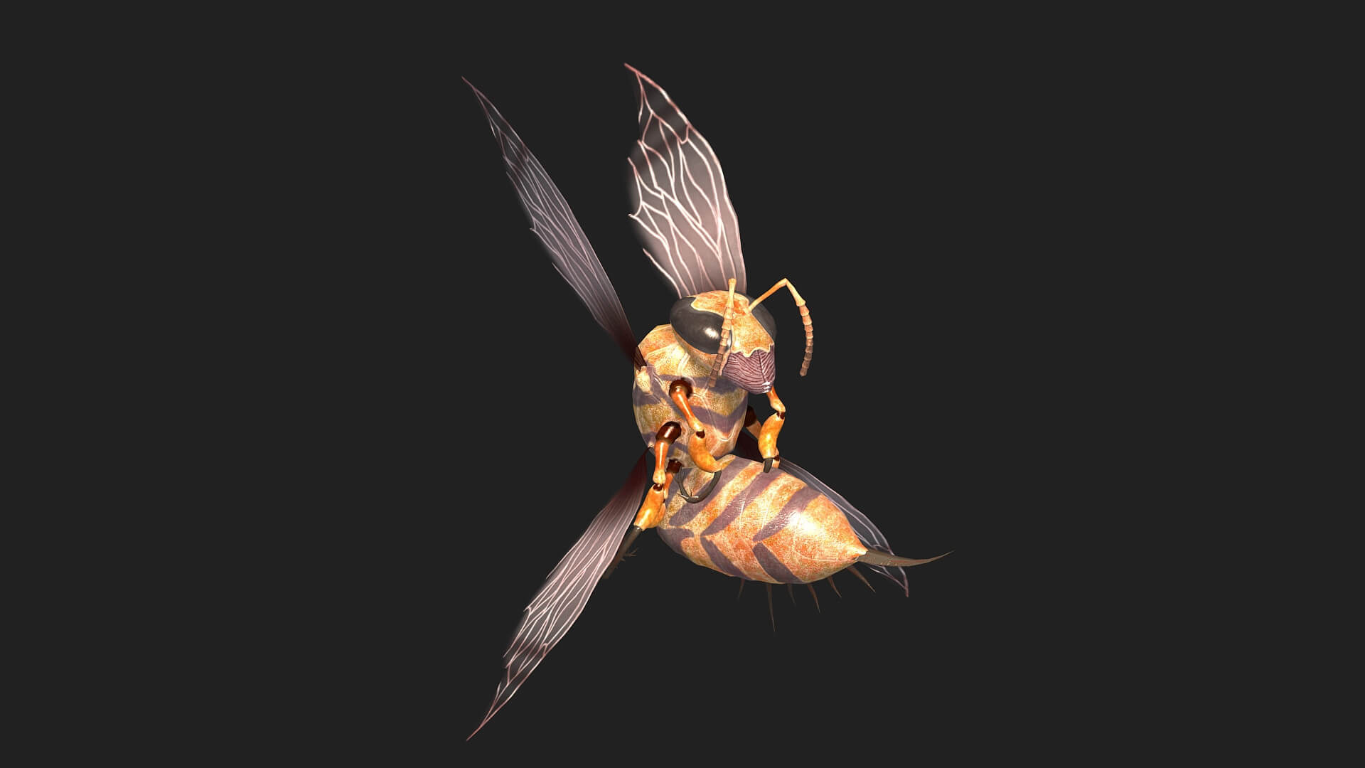 Bee - 3D Model by MadeCG