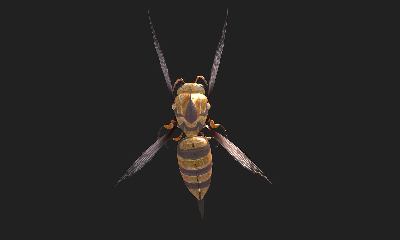 Bee - 3D Model by MadeCG