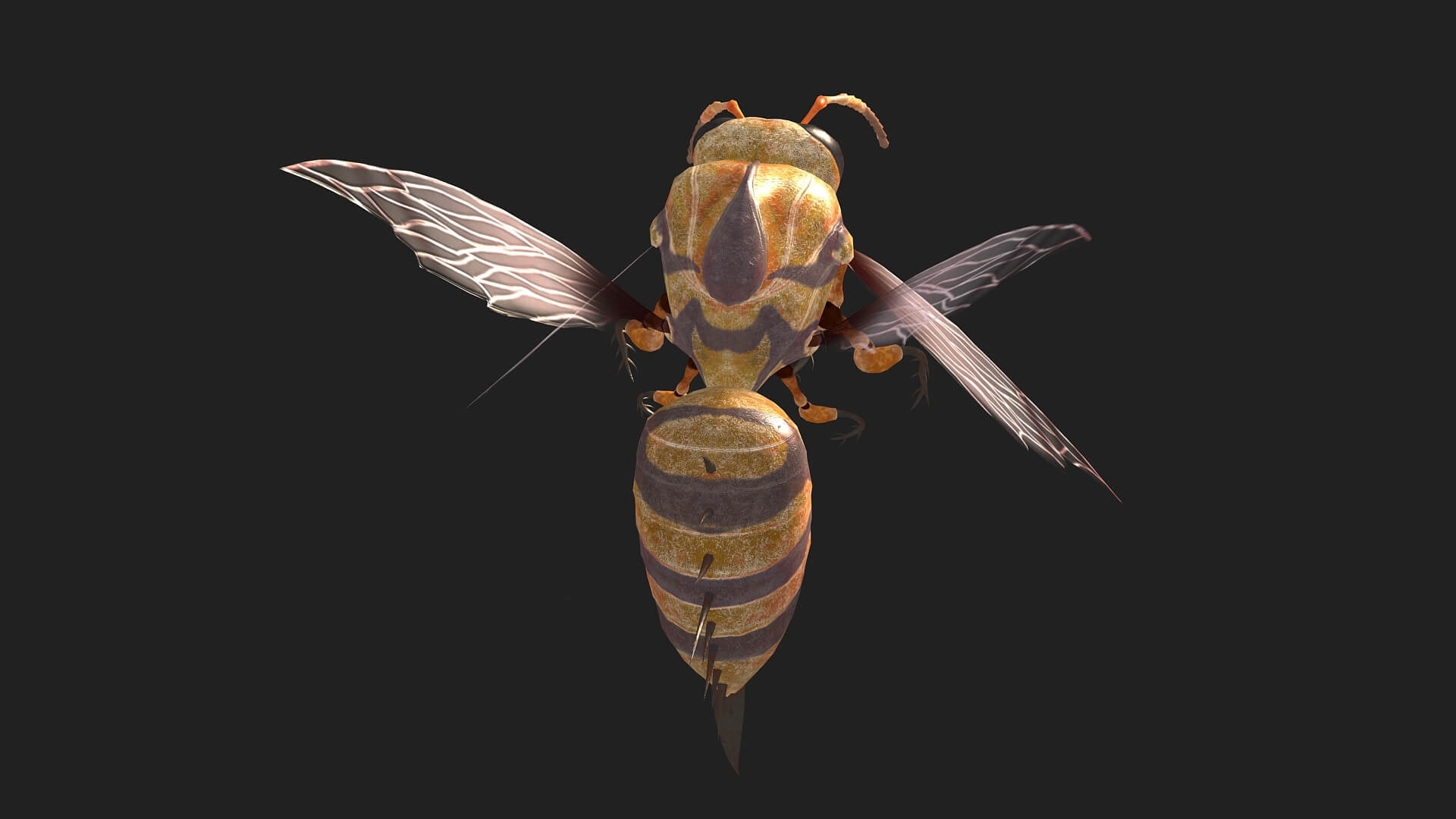 Bee - 3D Model by MadeCG