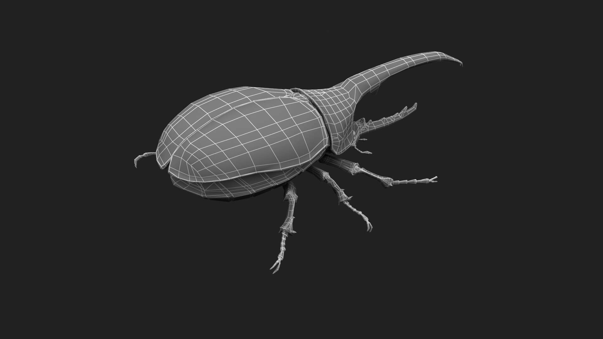 Beetle Dynastes - 3D Model by MadeCG