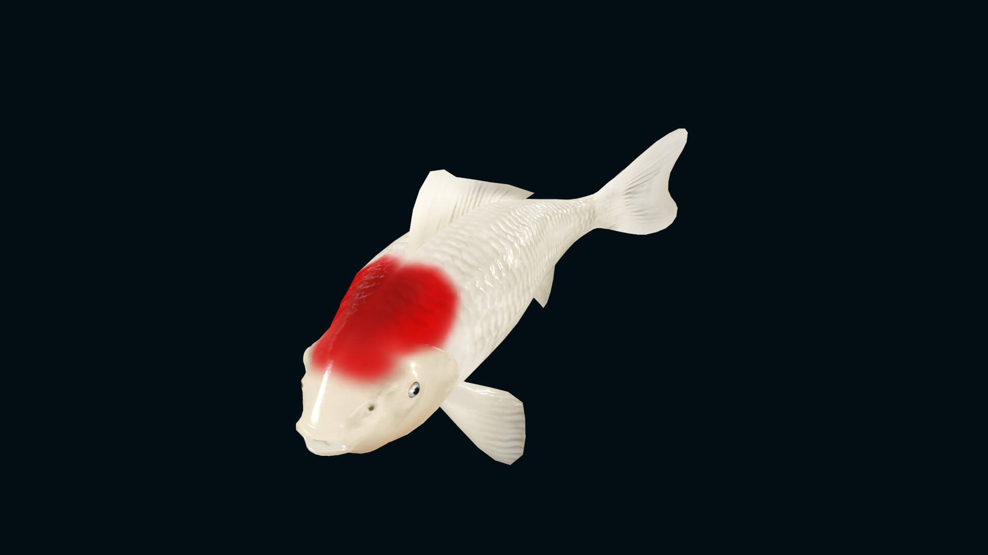 Animated Carp Fish Koi - 3D Model by MadeCG