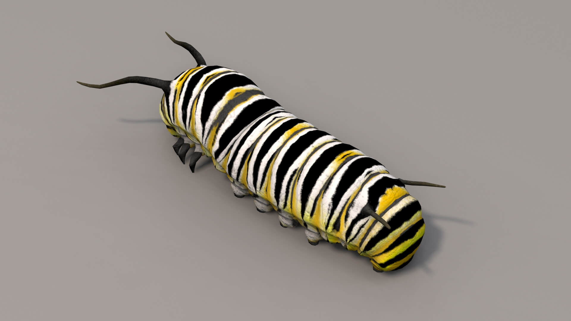 Caterpillar - 3D Model by MadeCG