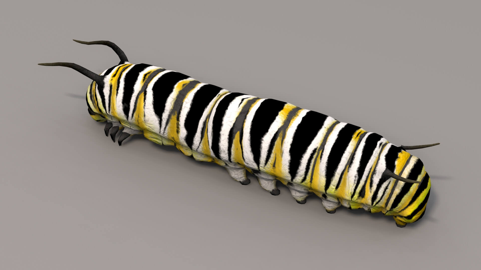 Caterpillar - 3D Model by MadeCG