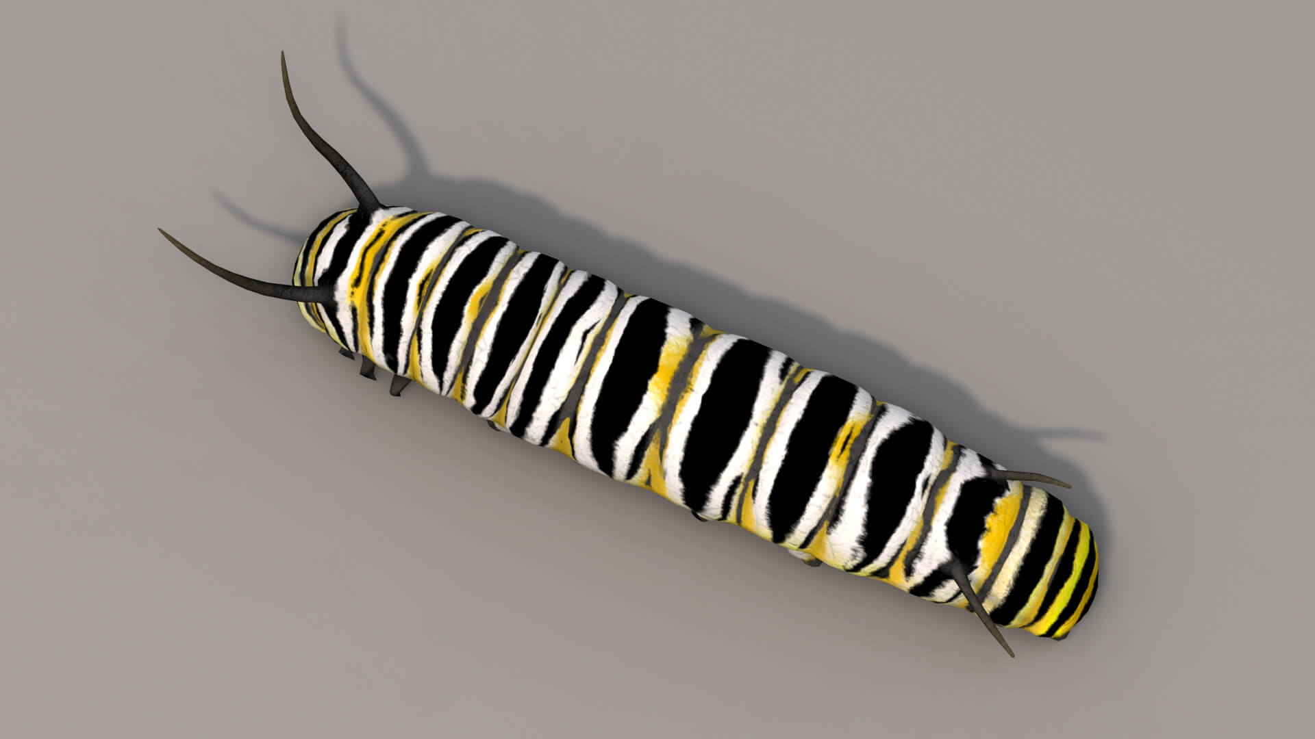 Caterpillar - 3D Model by MadeCG
