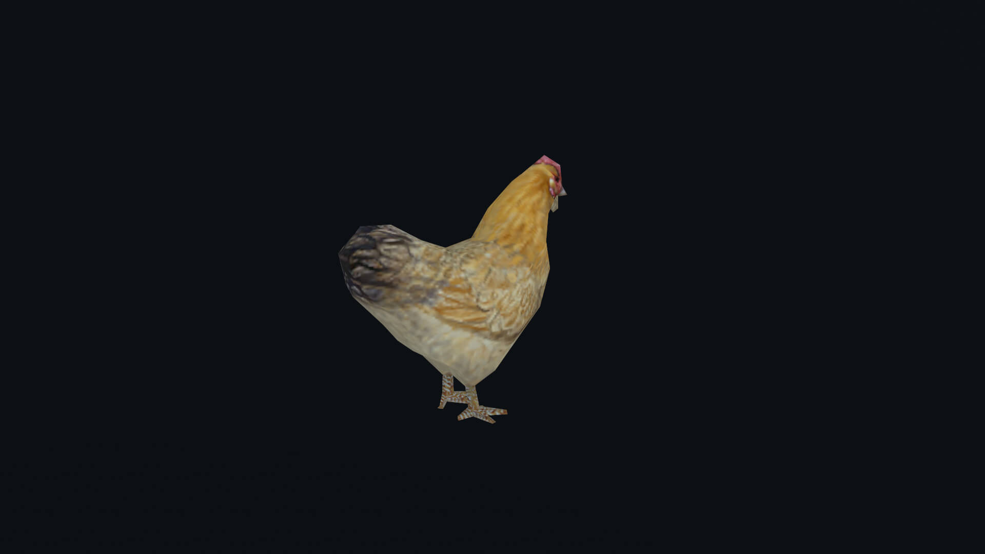 Animated Chicken - 3D Model by MadeCG