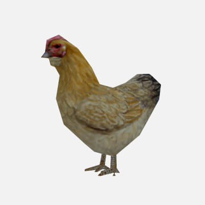Animated Chicken - 3D Model by MadeCG