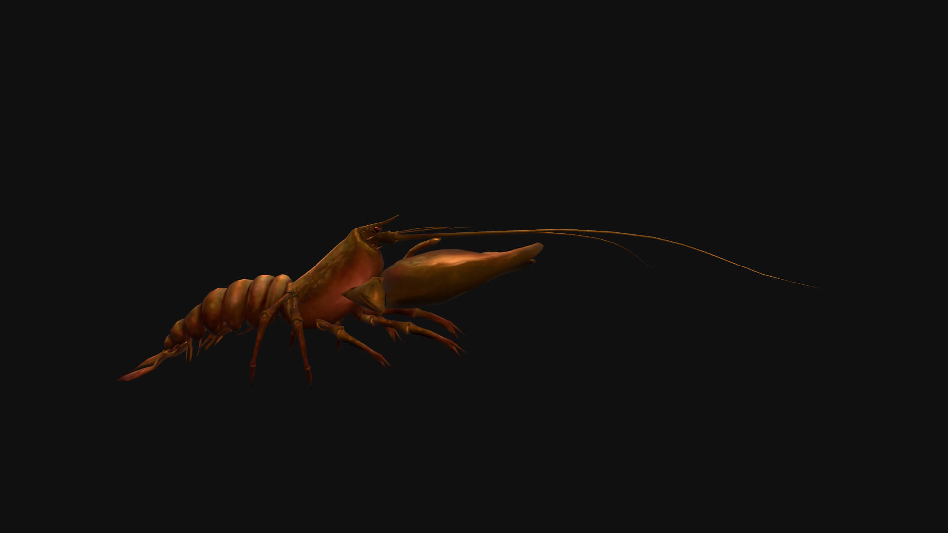 Animated Crayfish - 3D Model by MadeCG