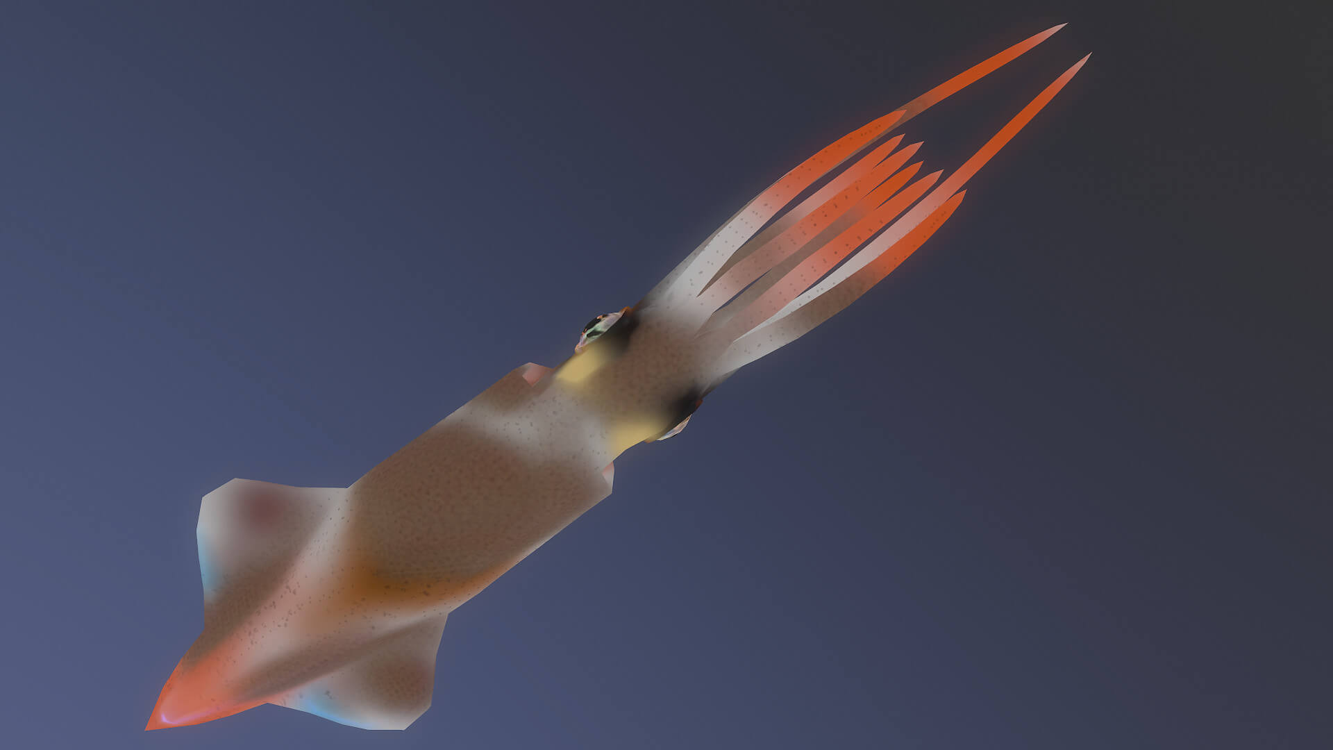 Cuttlefish - 3D Model by MadeCG