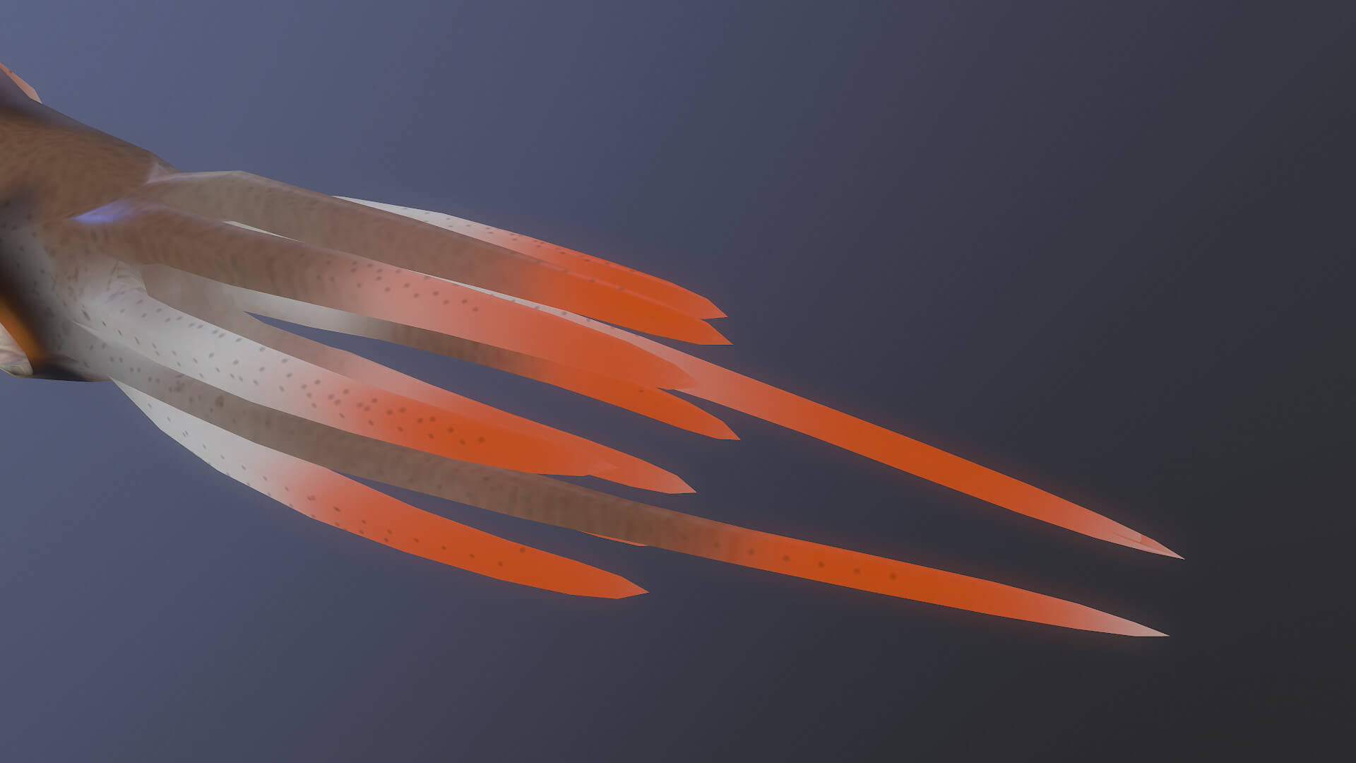 Cuttlefish - 3D Model by MadeCG