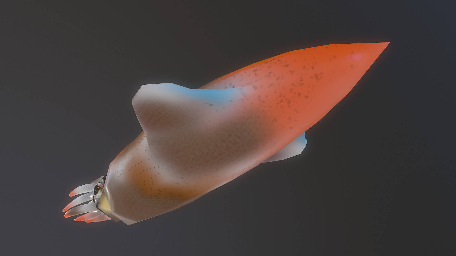 Cuttlefish - 3D Model by MadeCG