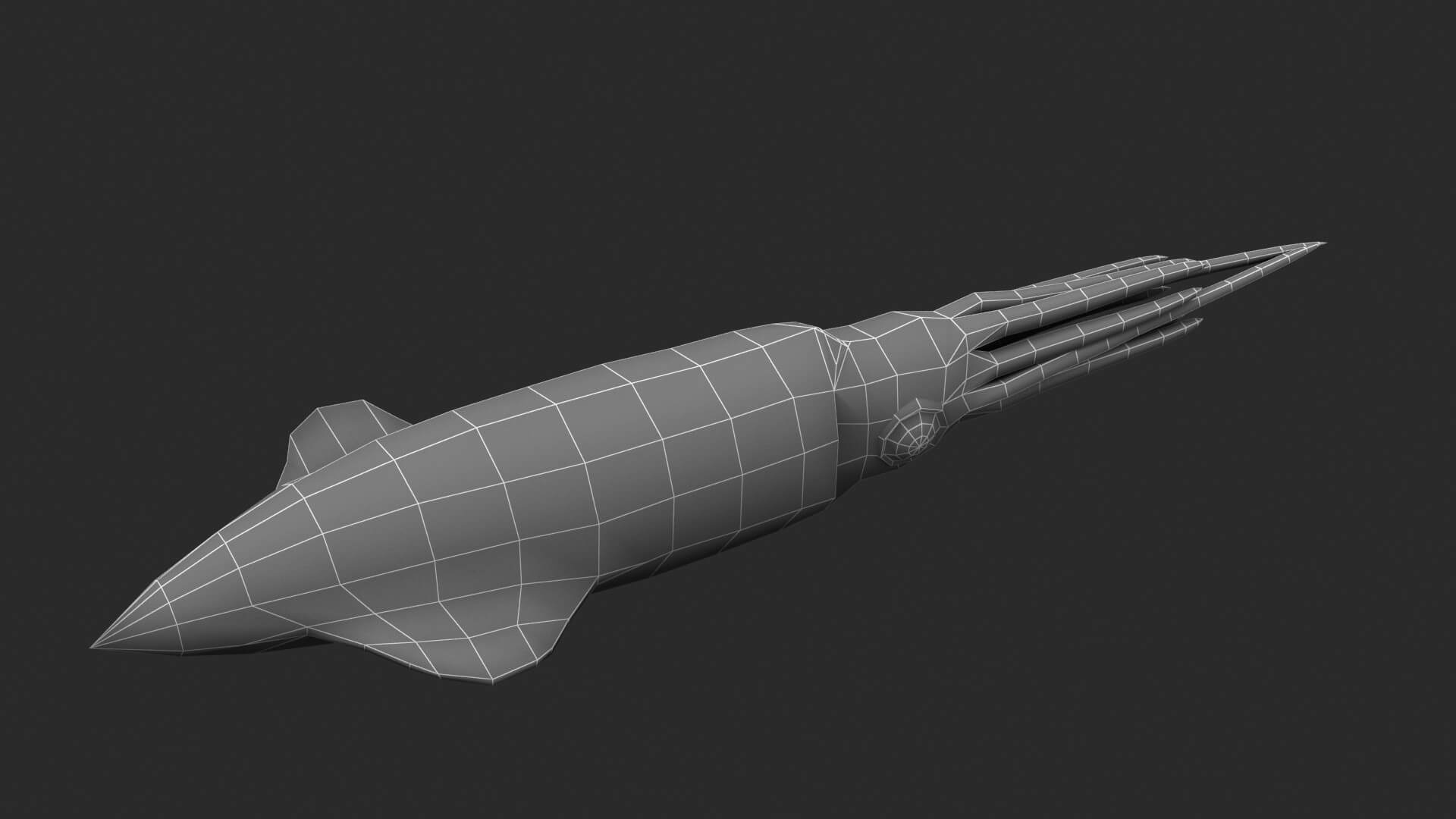 Cuttlefish - 3D Model by MadeCG