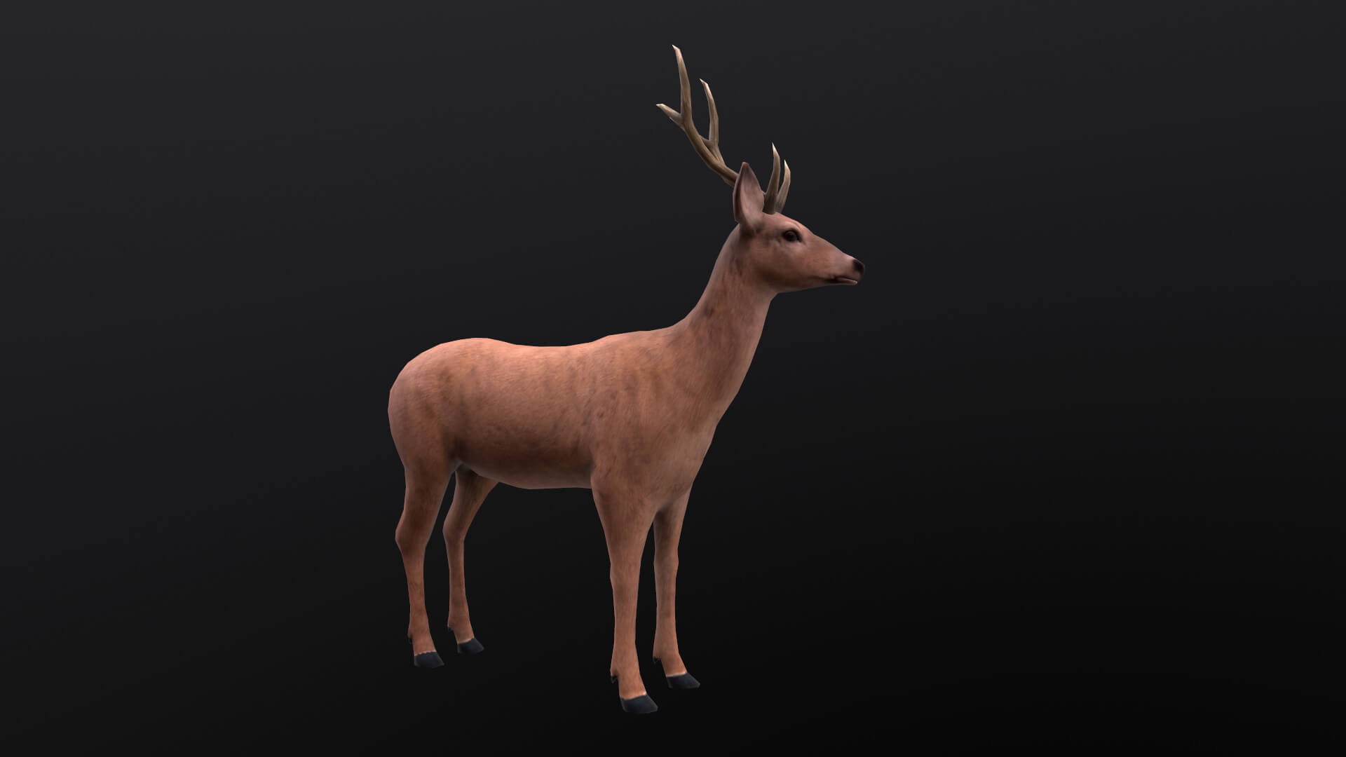 Animated Deer - 3D Model by MadeCG