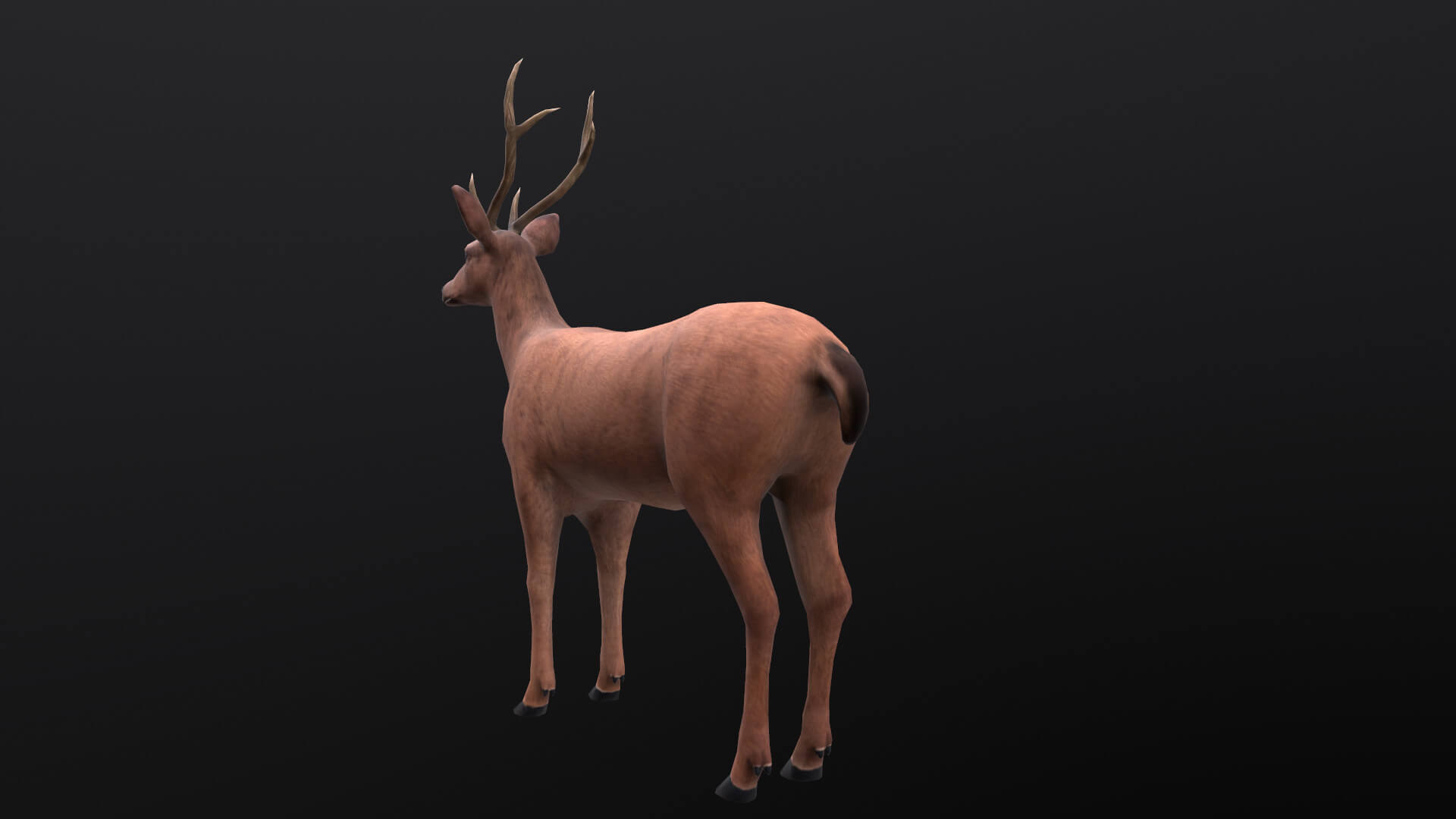 Animated Deer - 3D Model by MadeCG