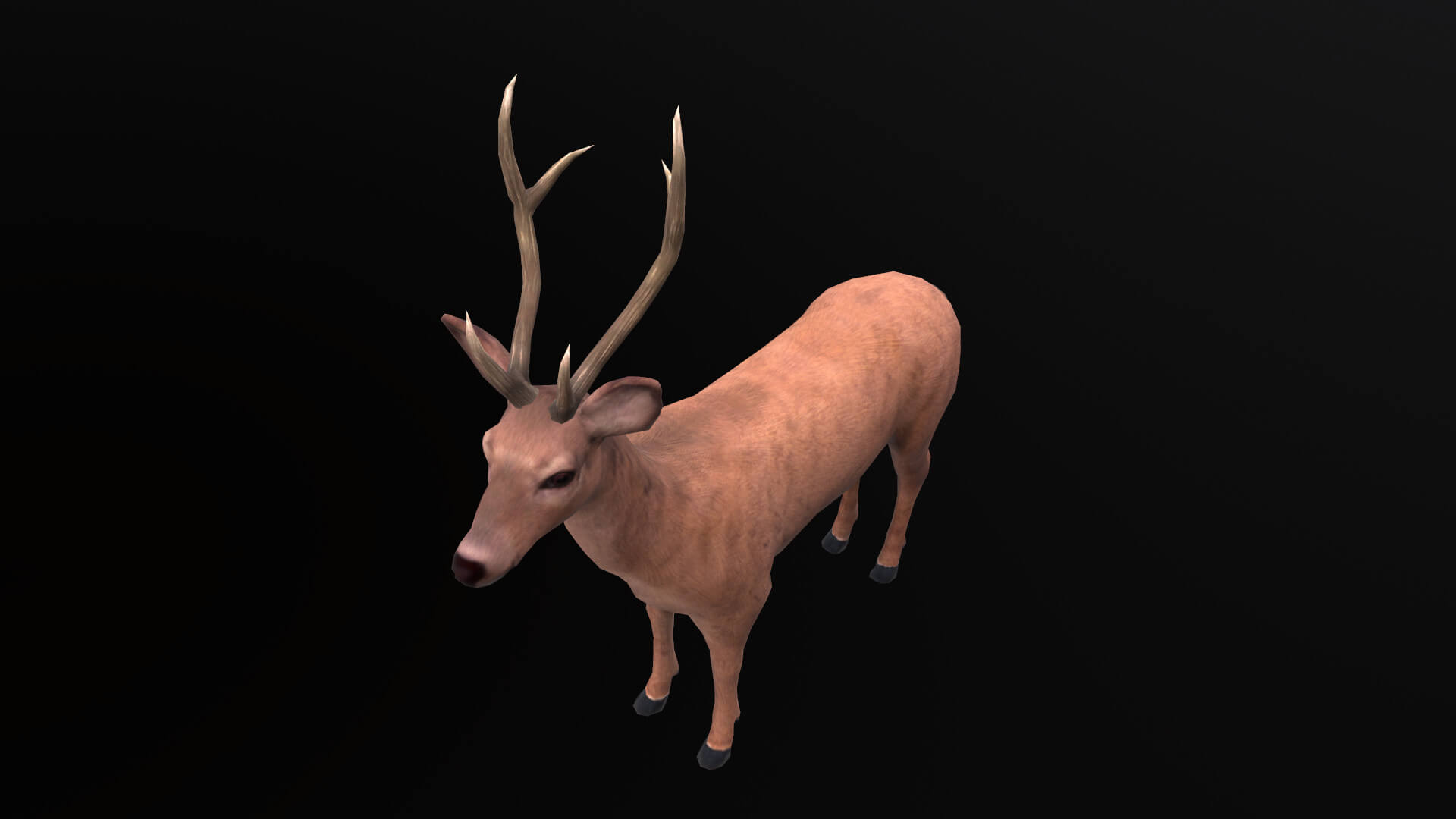 Animated Deer - 3D Model by MadeCG
