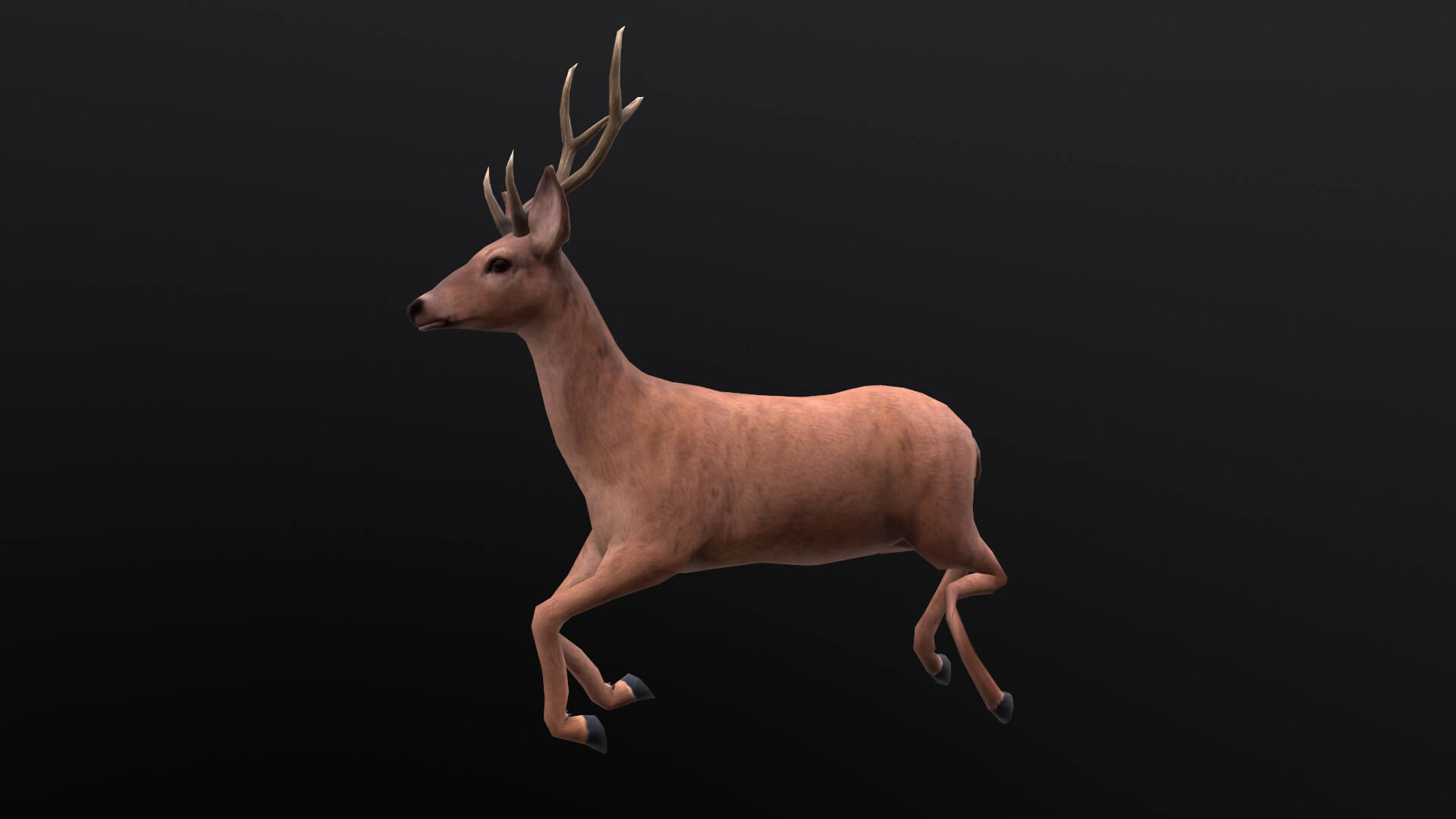Animated Deer - 3D Model by MadeCG