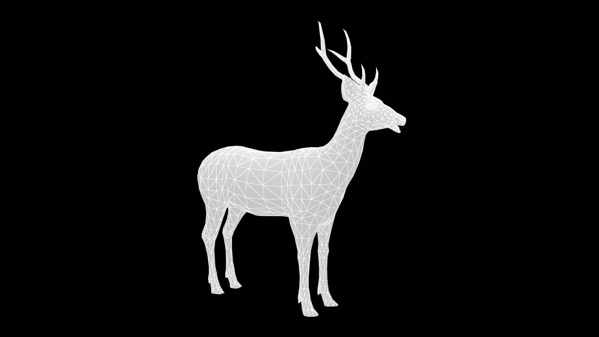 Animated Deer - 3D Model by MadeCG