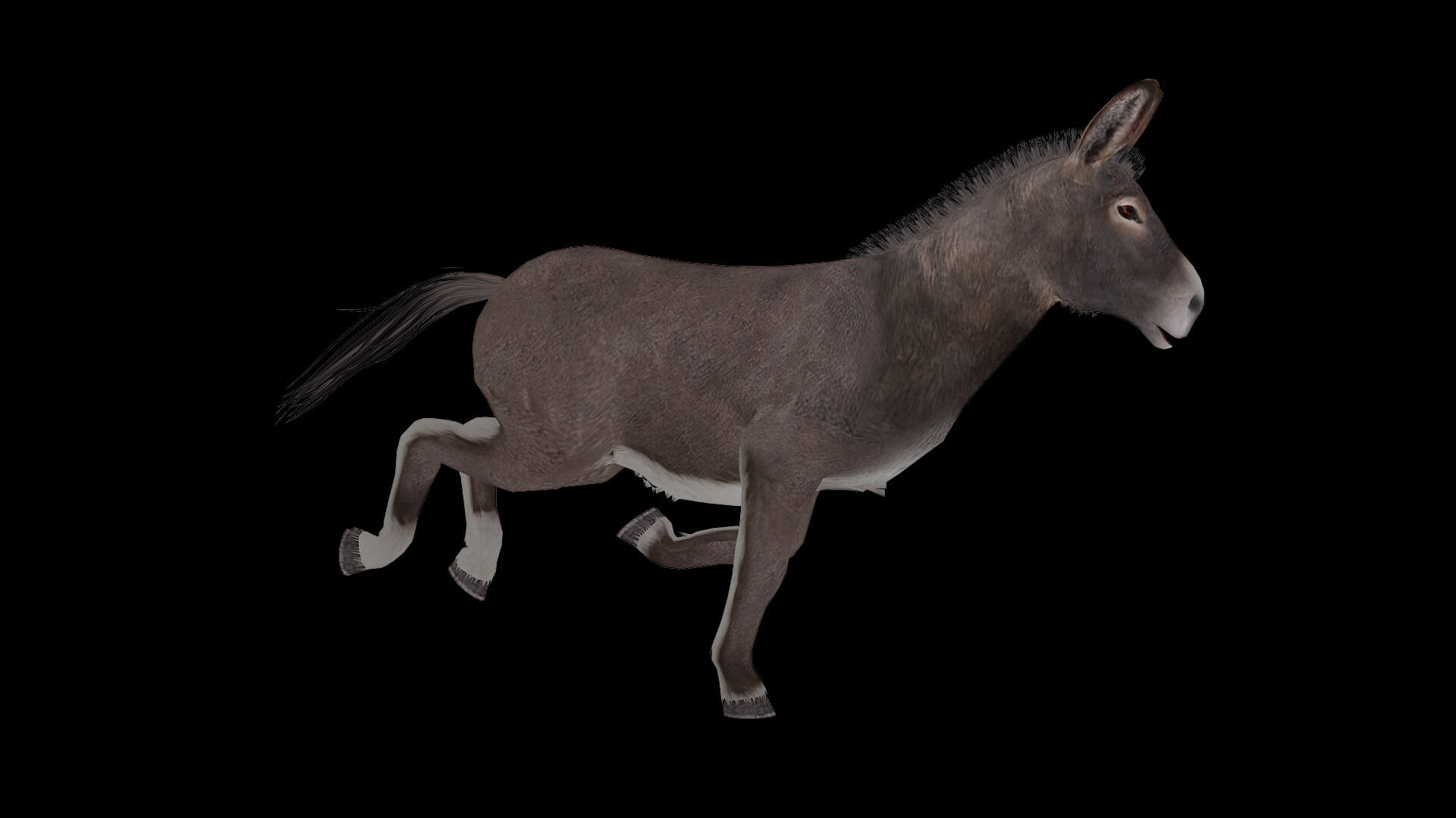 Donkey - 3D Model by MadeCG