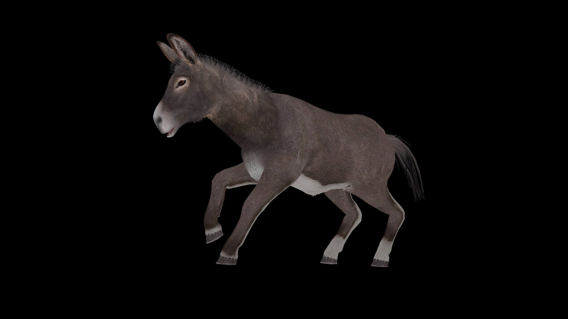 Donkey - 3D Model by MadeCG