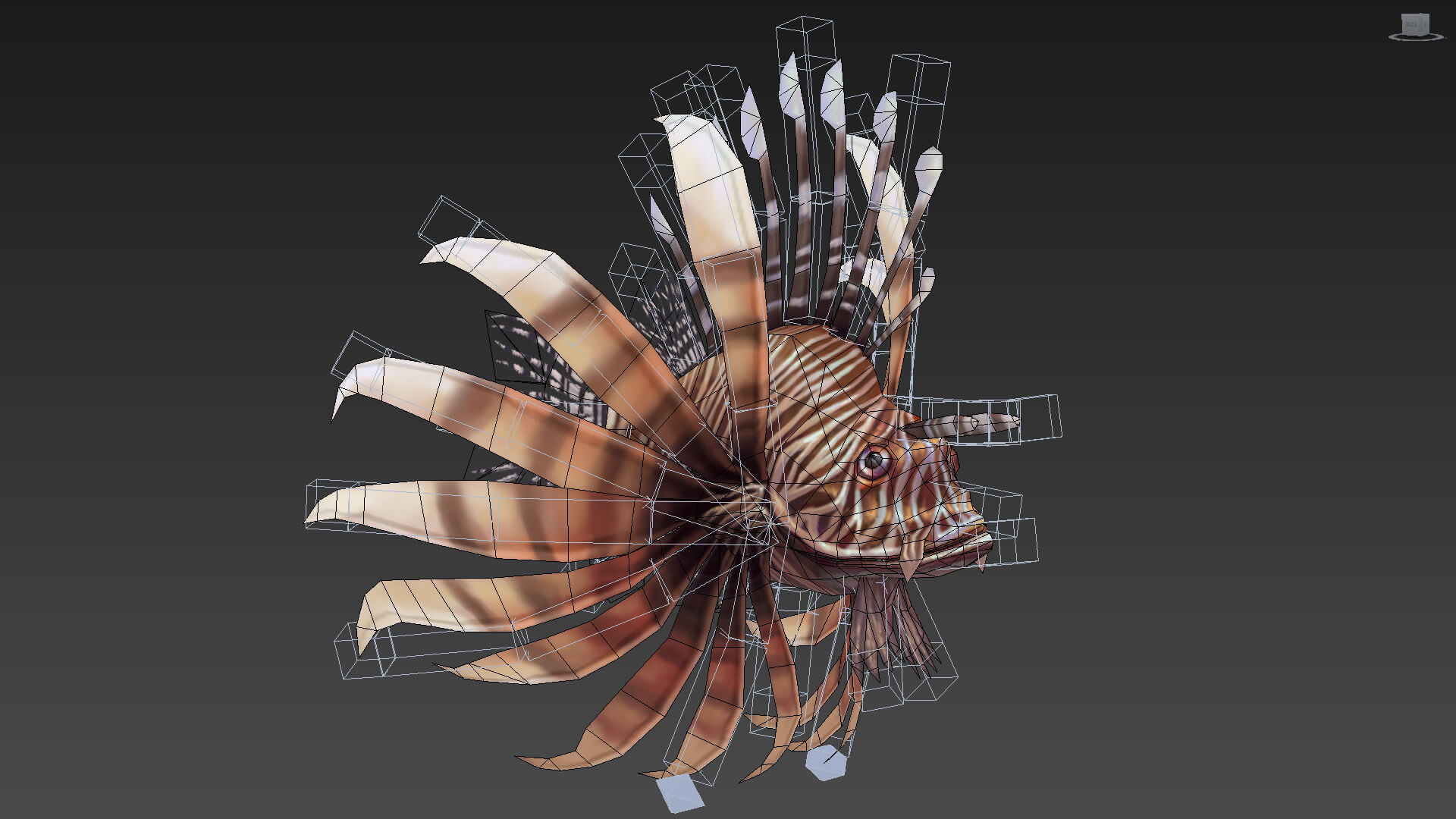 Lionfish - 3D Model by MadeCG