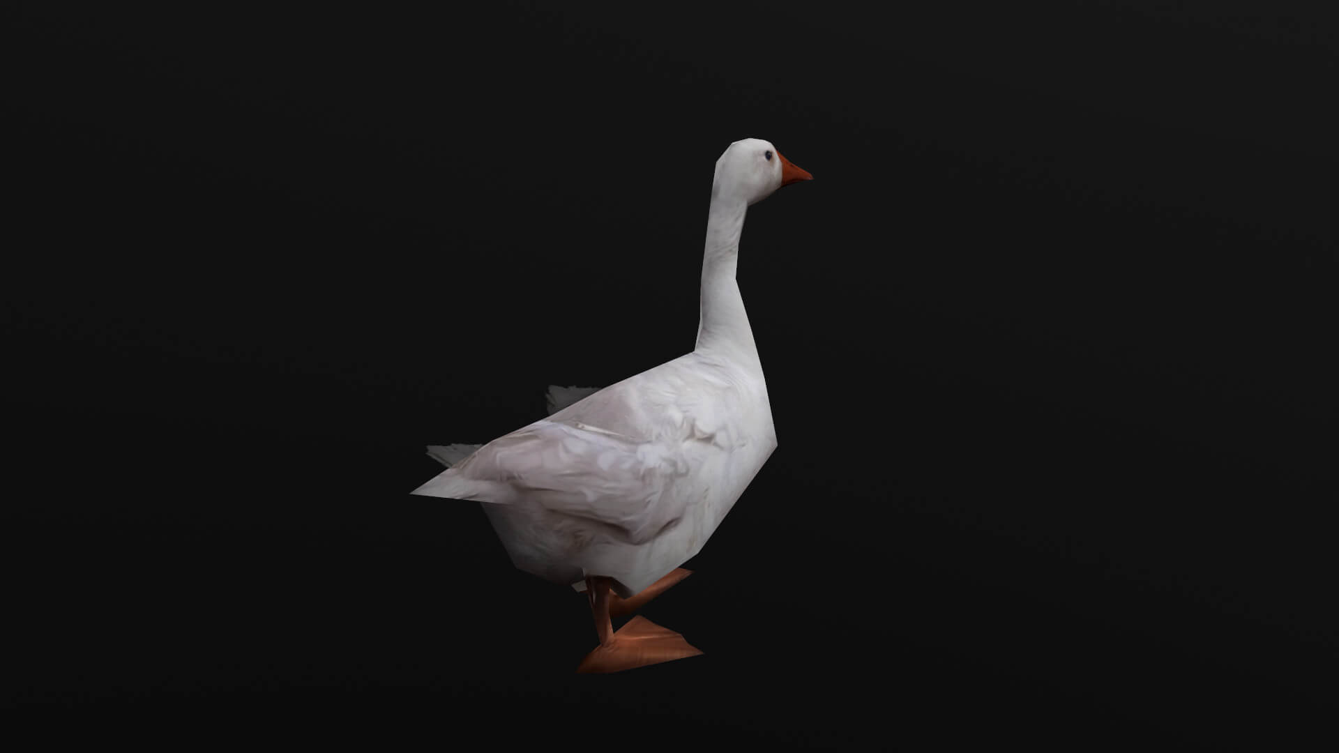 Animated Duck - 3D Model by MadeCG
