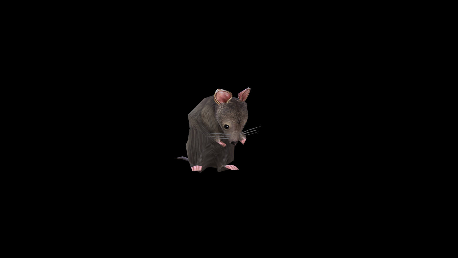 Mouse - 3D Model by MadeCG