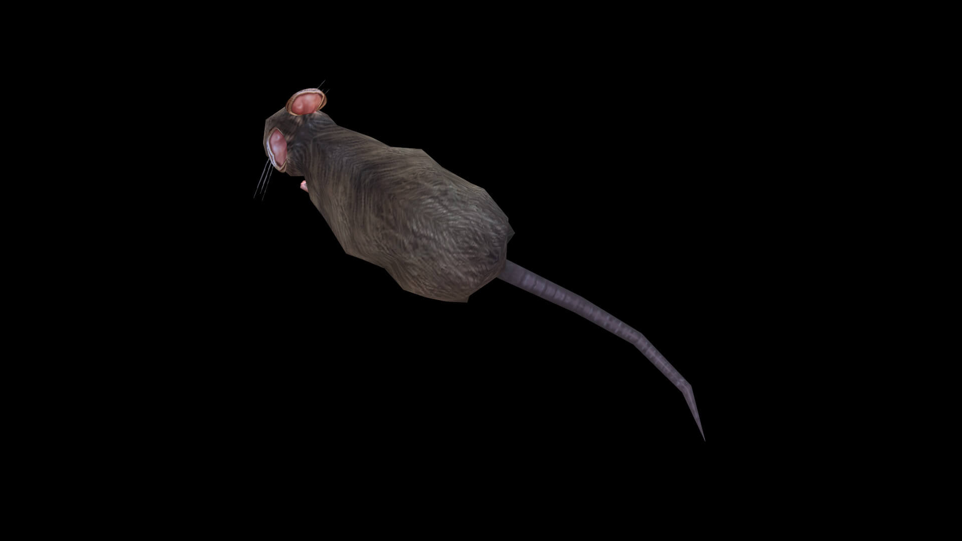Mouse - 3D Model by MadeCG