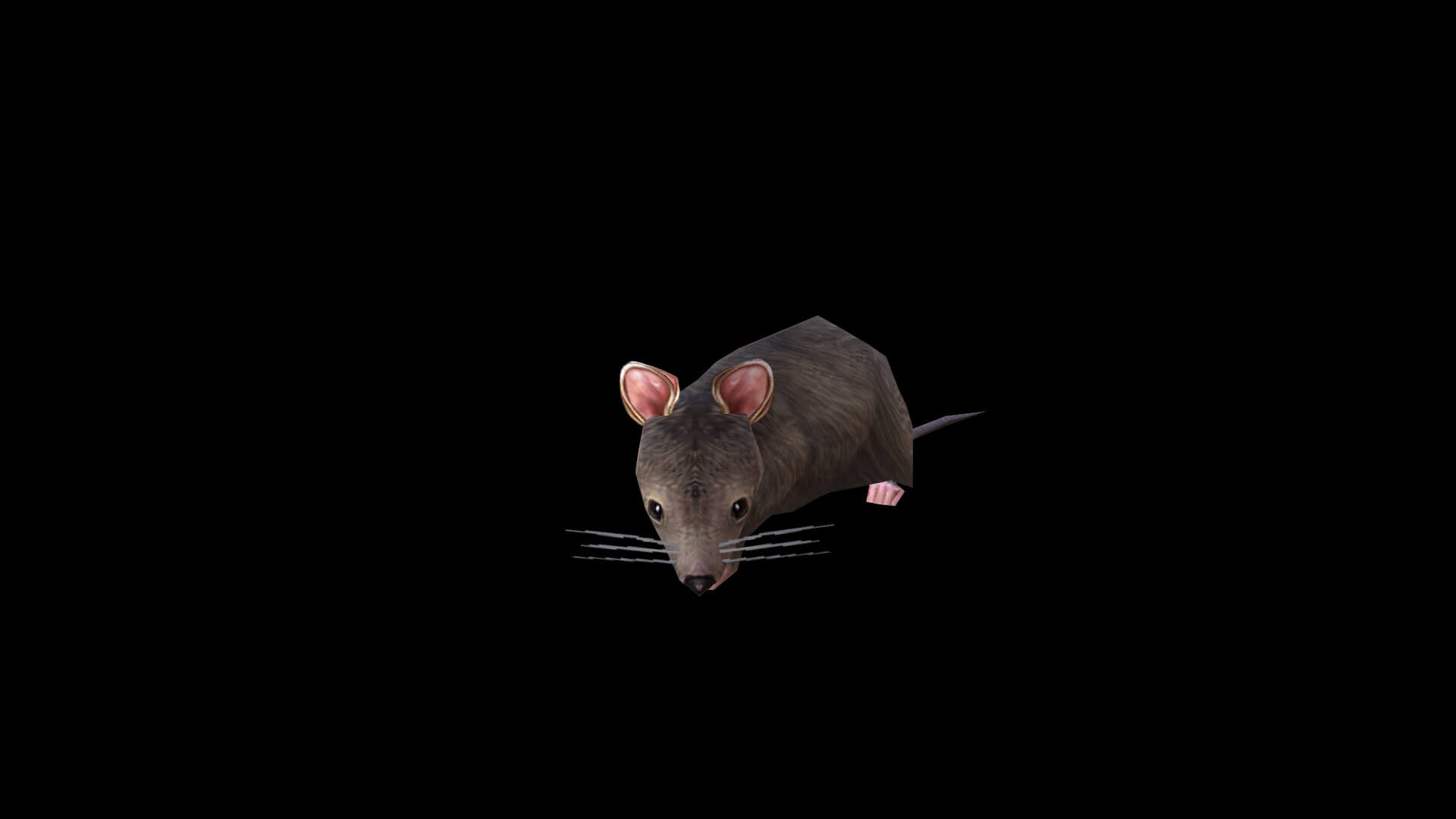 Mouse - 3D Model by MadeCG