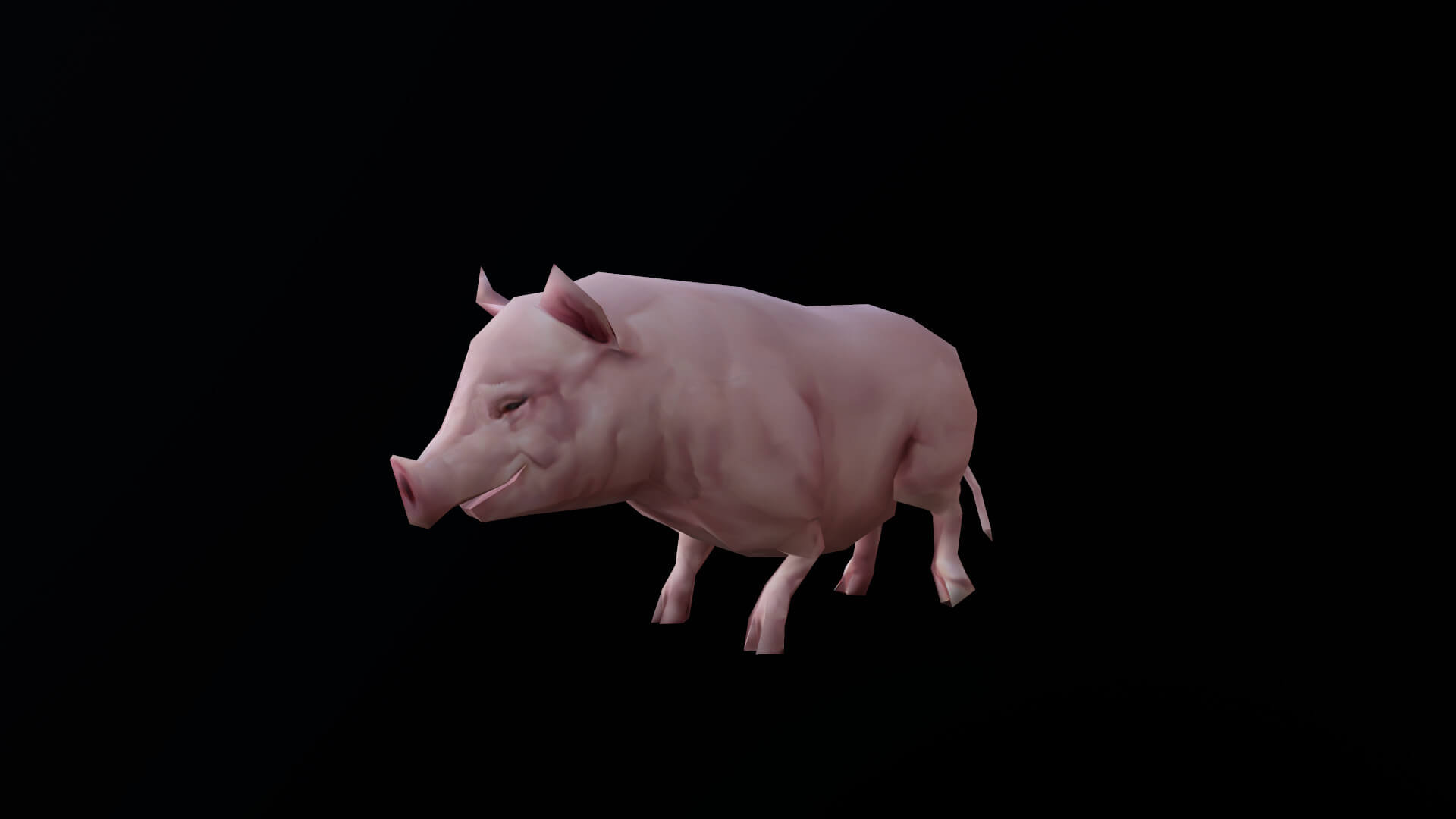 Pig - 3D Model by MadeCG