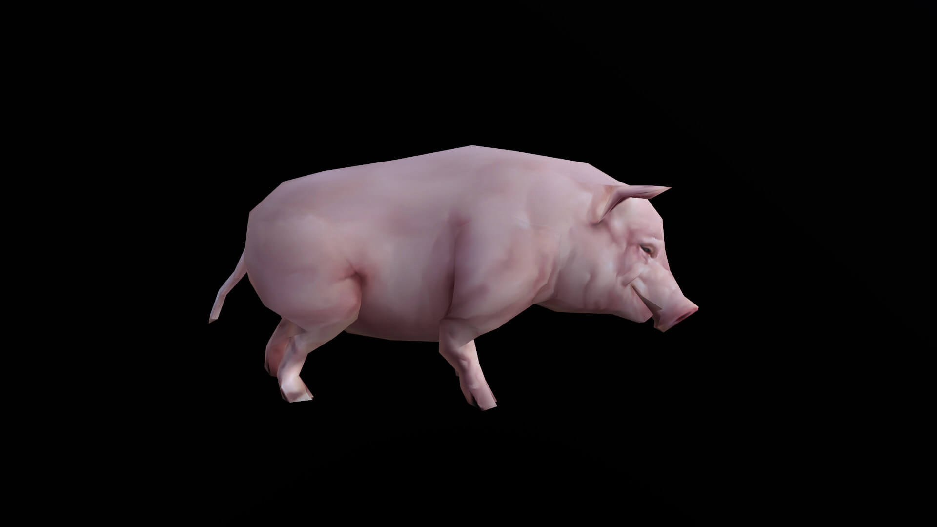 Pig - 3D Model by MadeCG