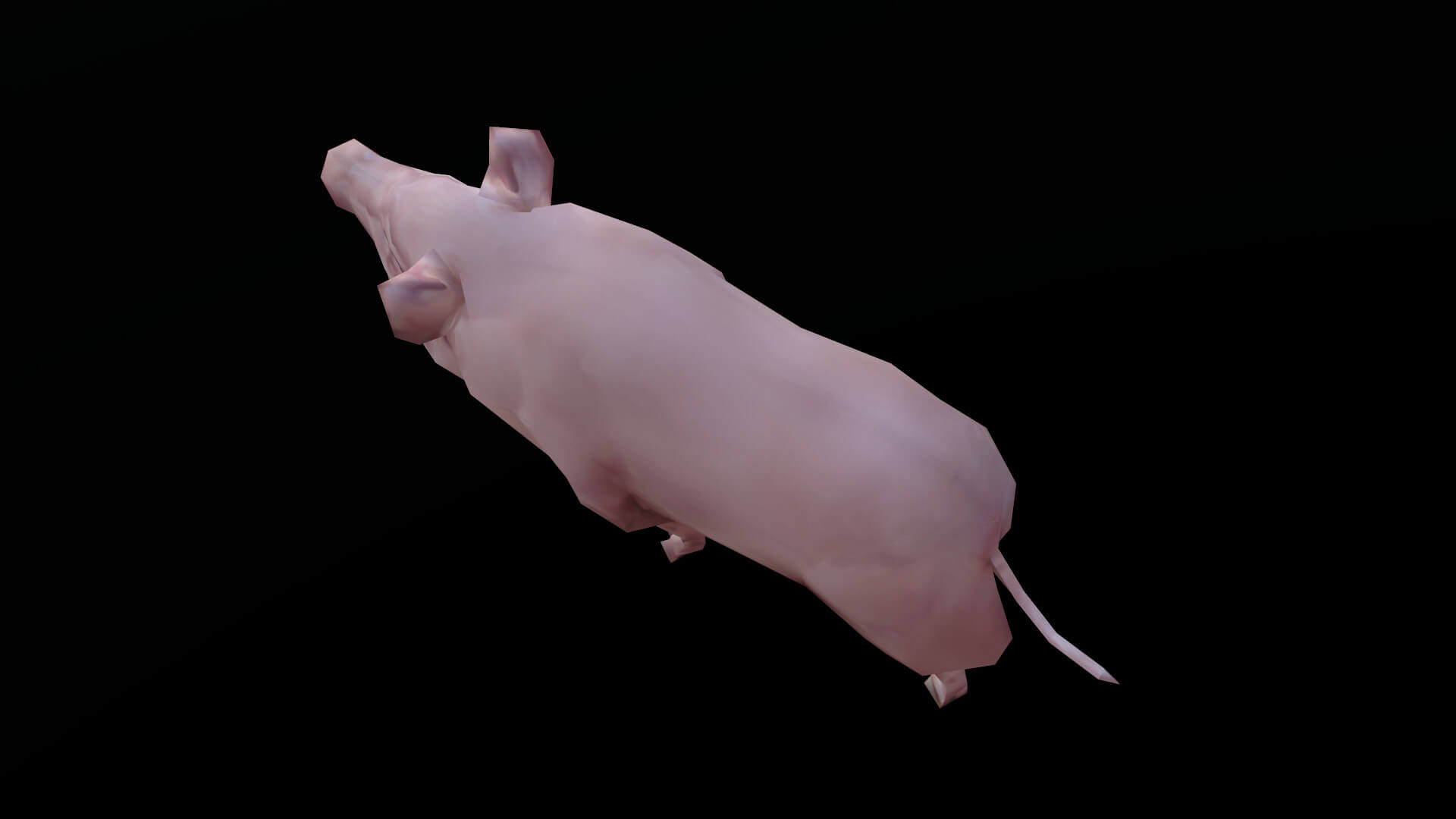Pig - 3D Model by MadeCG