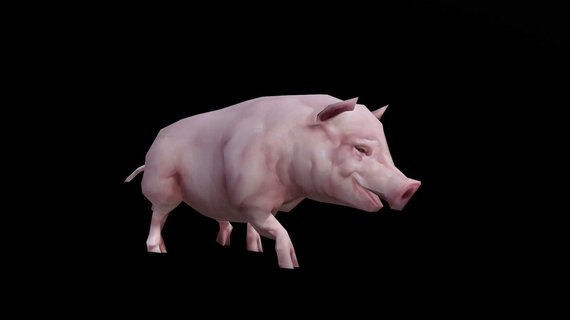 Pig - 3D Model by MadeCG