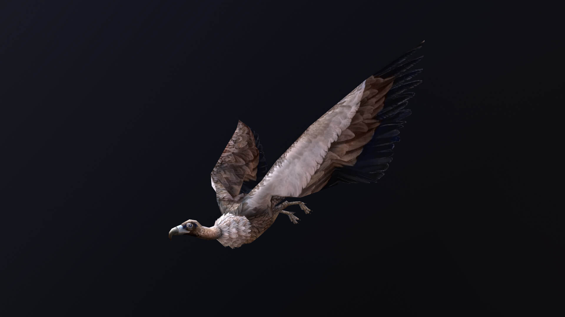 Vulture - 3D Model by MadeCG