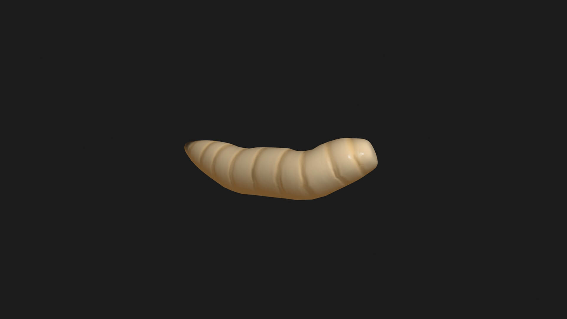 Animated Maggot - 3D Model by MadeCG